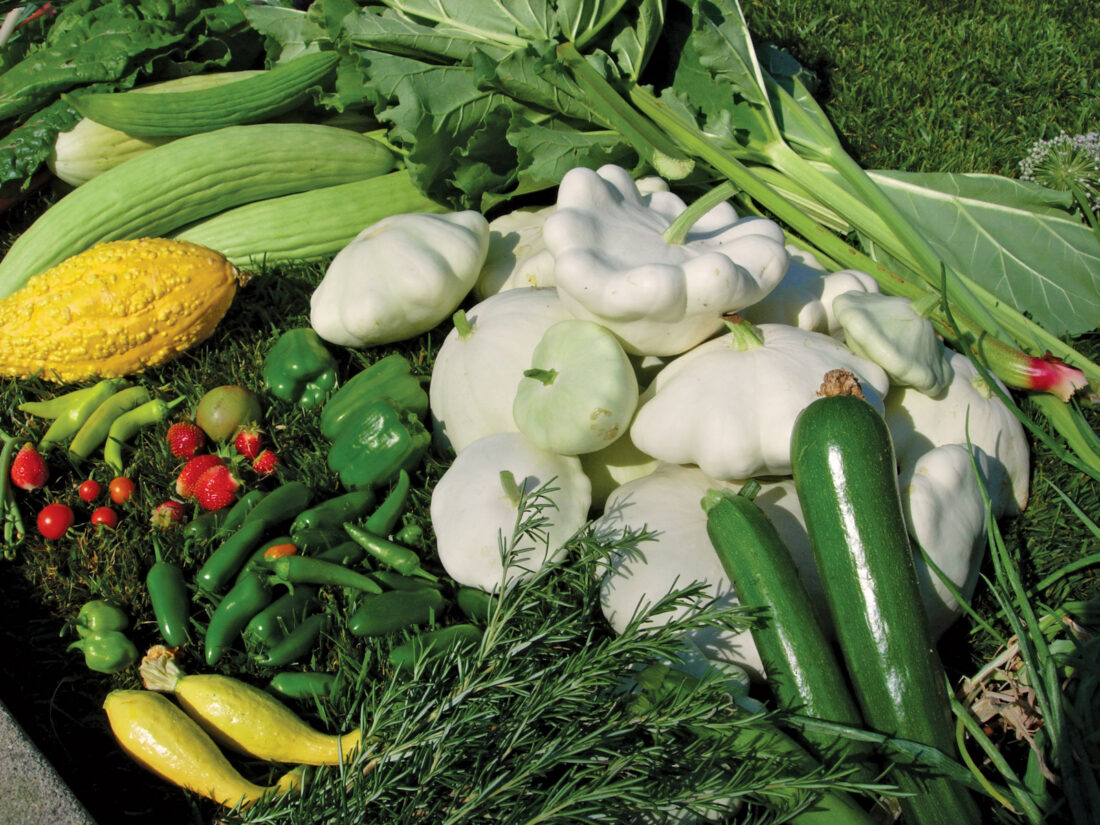 Edible Lawn Ideas - Grit